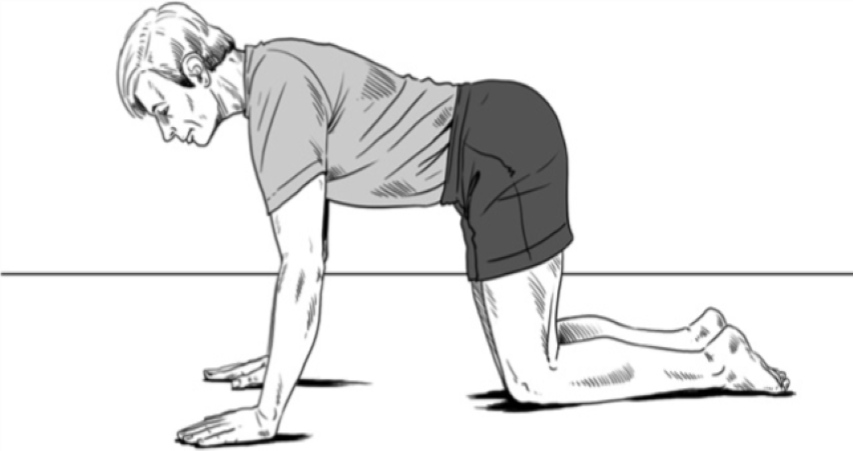Dynamic Health, Jersey Chiropractor - The Scap Pump Exercise for Tennis ...
